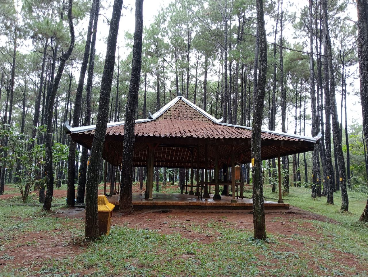 Harga Paket Catering Puncak Pinus Becici Terbaru 2024